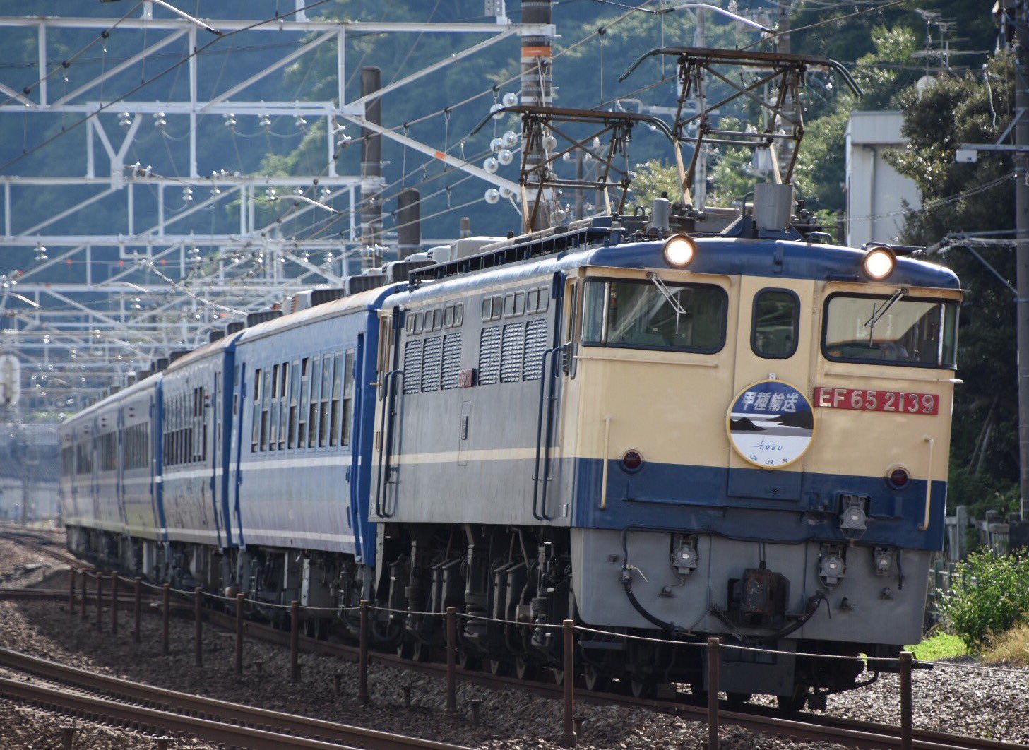 hama on Twitter: "9/29 8862レ EF65-2139+12系+14系 東武鉄道譲渡甲種 用宗〜安倍川 https://t.co/krxZbI7LHf" / Twitter