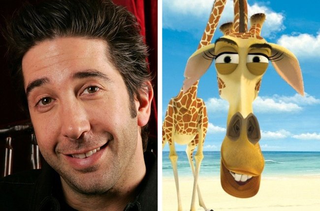 David Schwimmer Melman