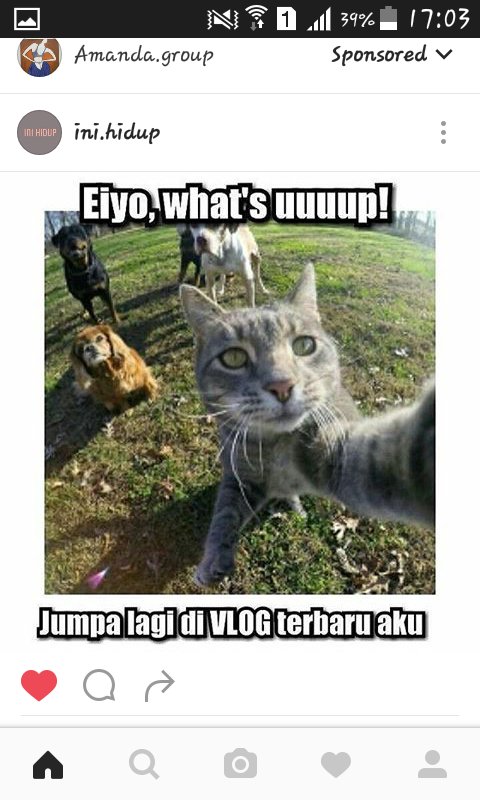 Evril rizki nawawi (@RizkiEvril) | Twitter