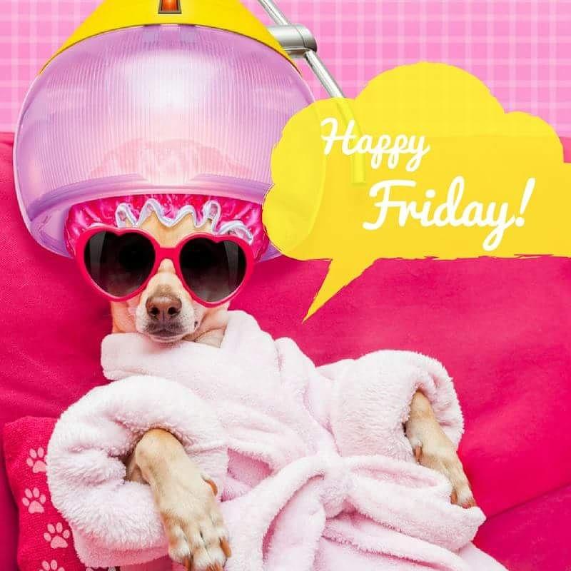 Tracy Buckner (@TracyBuckner1) | Twitter