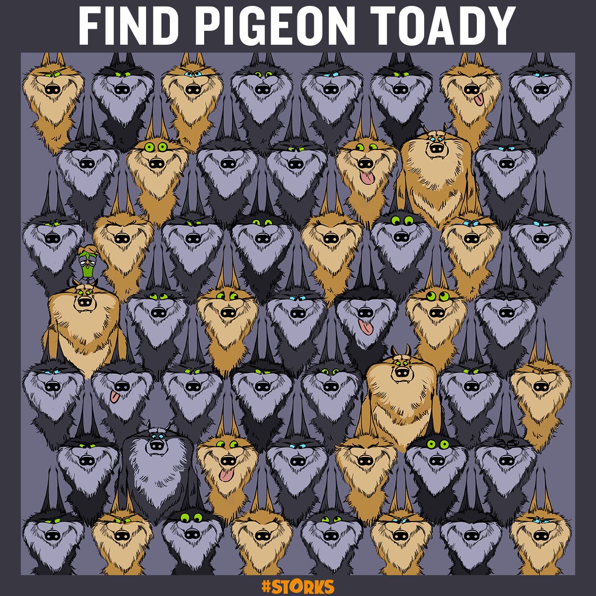 Pigeon Cartoon On Wb