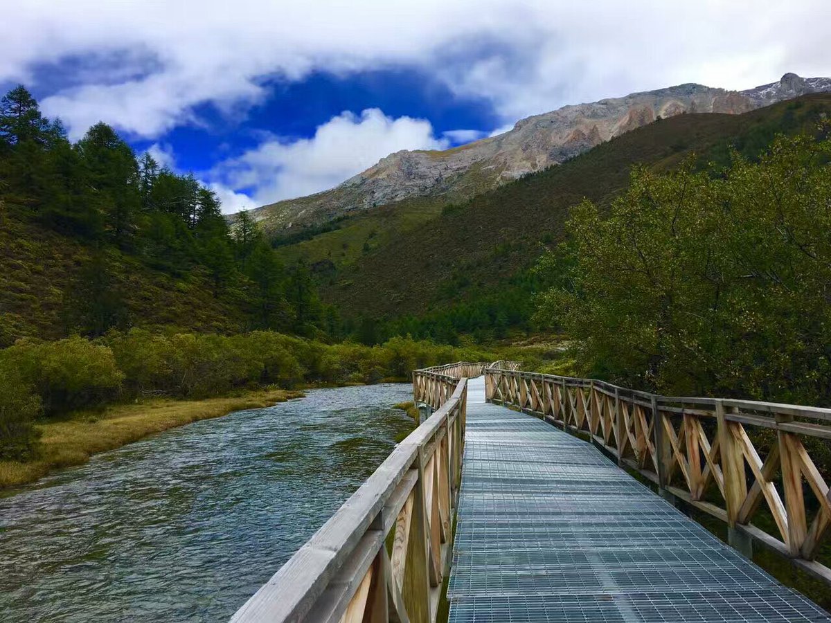 junwei Wang (@JunweiWang) | Twitter