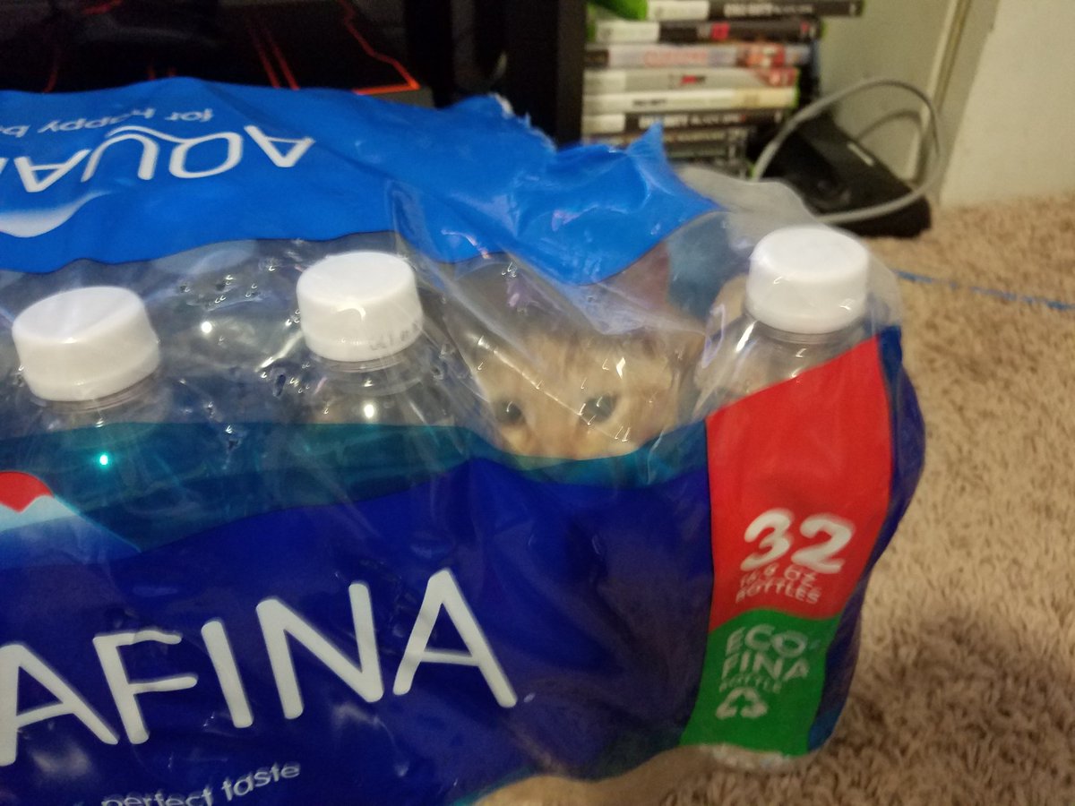 10 best Twitter @xboxaddictionz images on Pholder | Bought a puppy ...