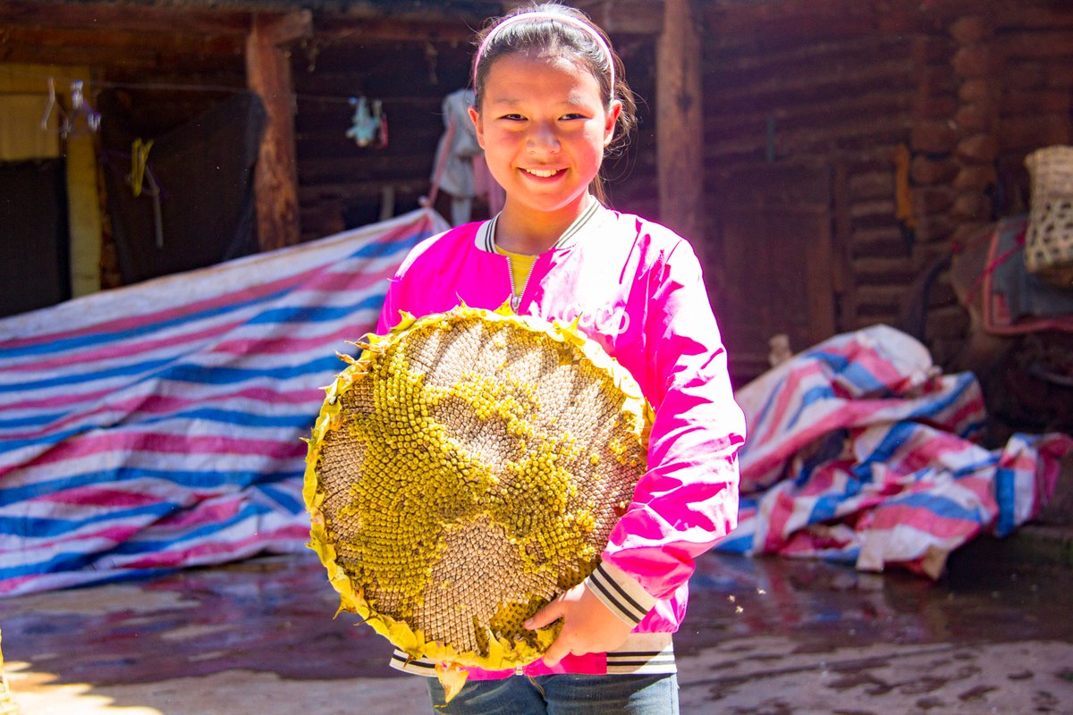 Max Zhang (@TFC_MaxZhang) | Twitter