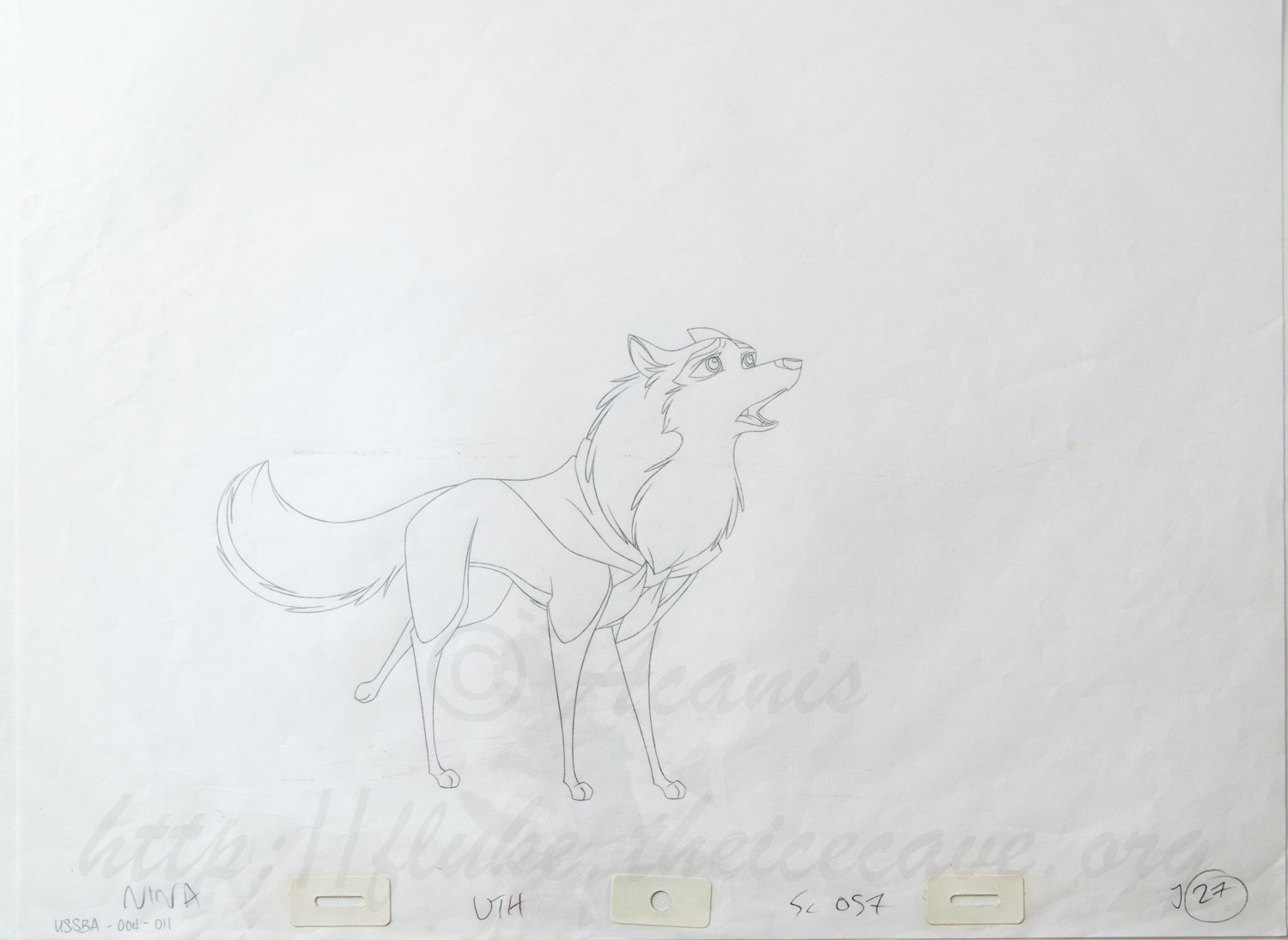 Balto Howling Drawings