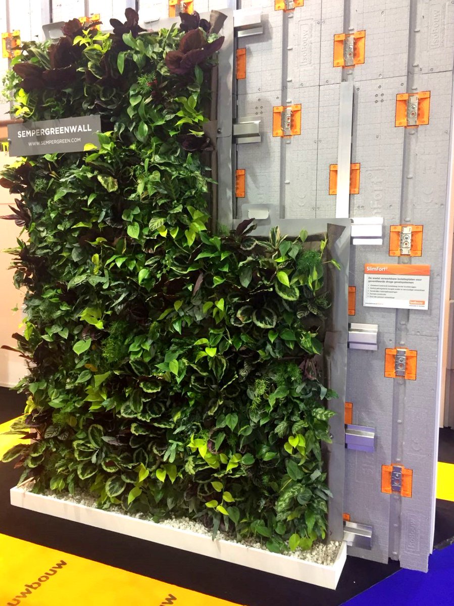 Introduction to Vertical Greening Systems