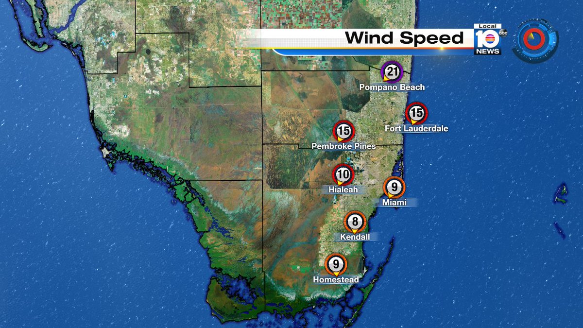 Miami news - NewsLocker