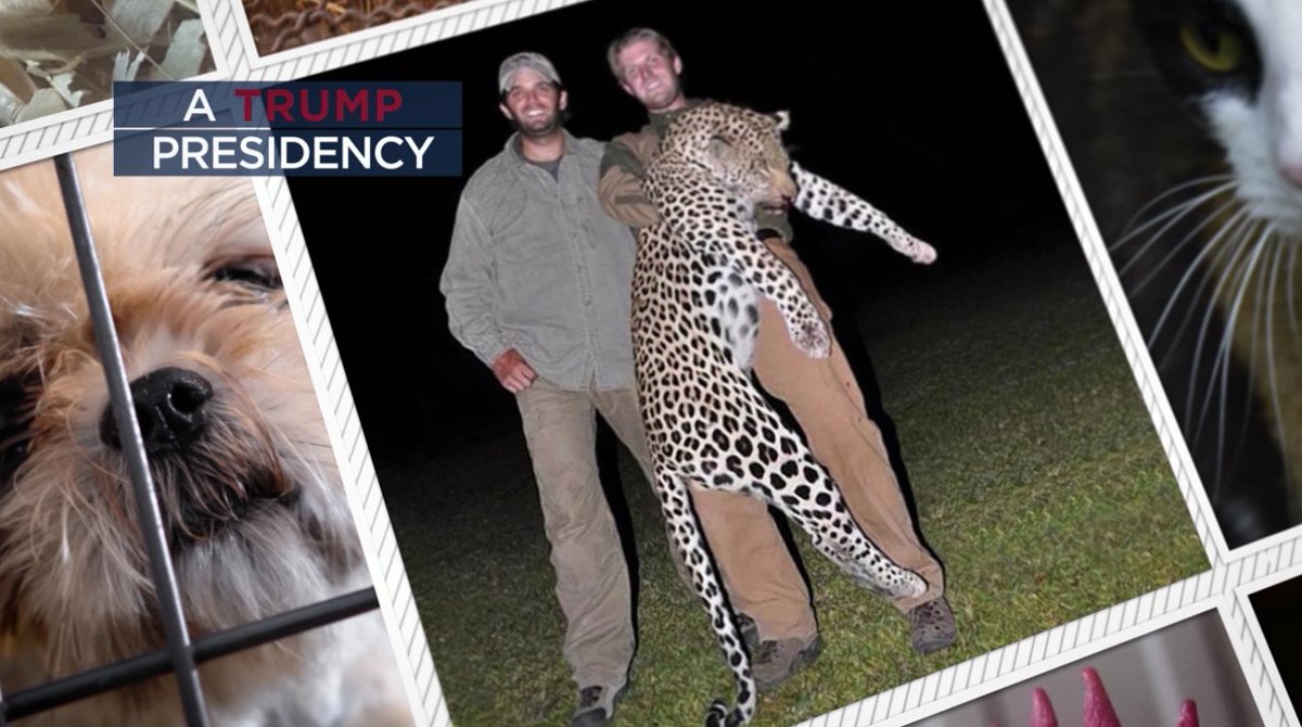 Humane Society launches ad: Trump presidency a 'threat to animals ...