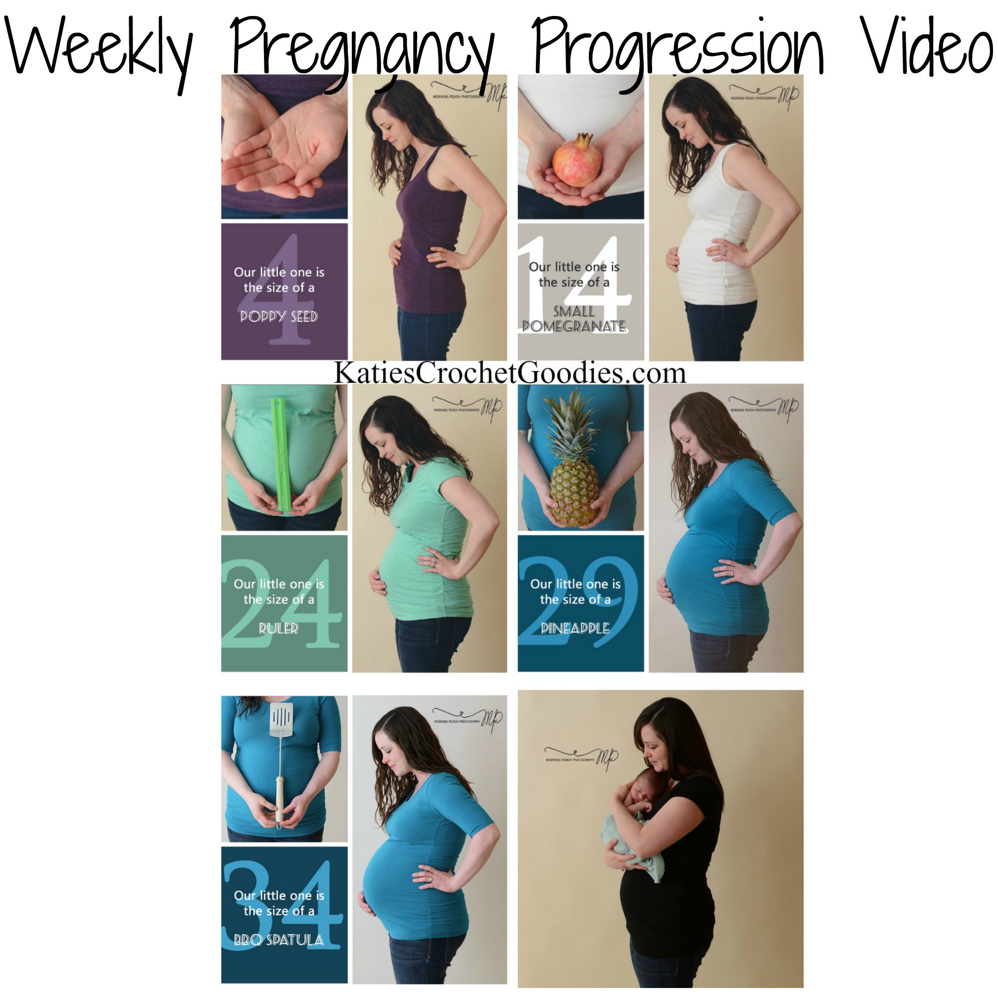Plus Size Pregnancy Progression