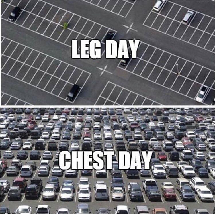 Gym Memes Chest Day