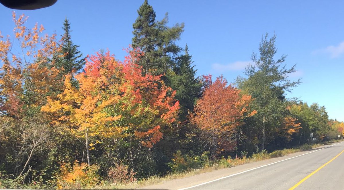 It's always a pleasant drive through Swift Current, but it's especially ...