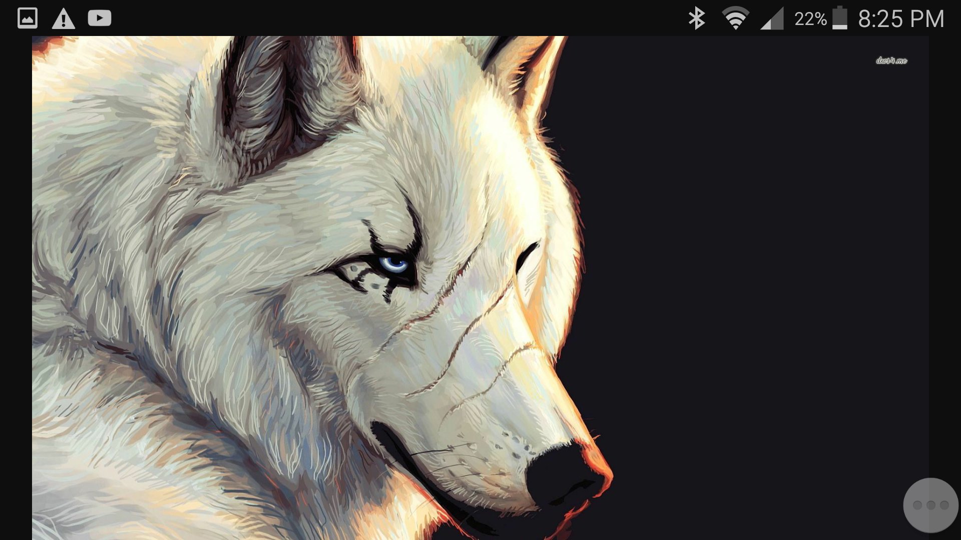Scarred White Wolf