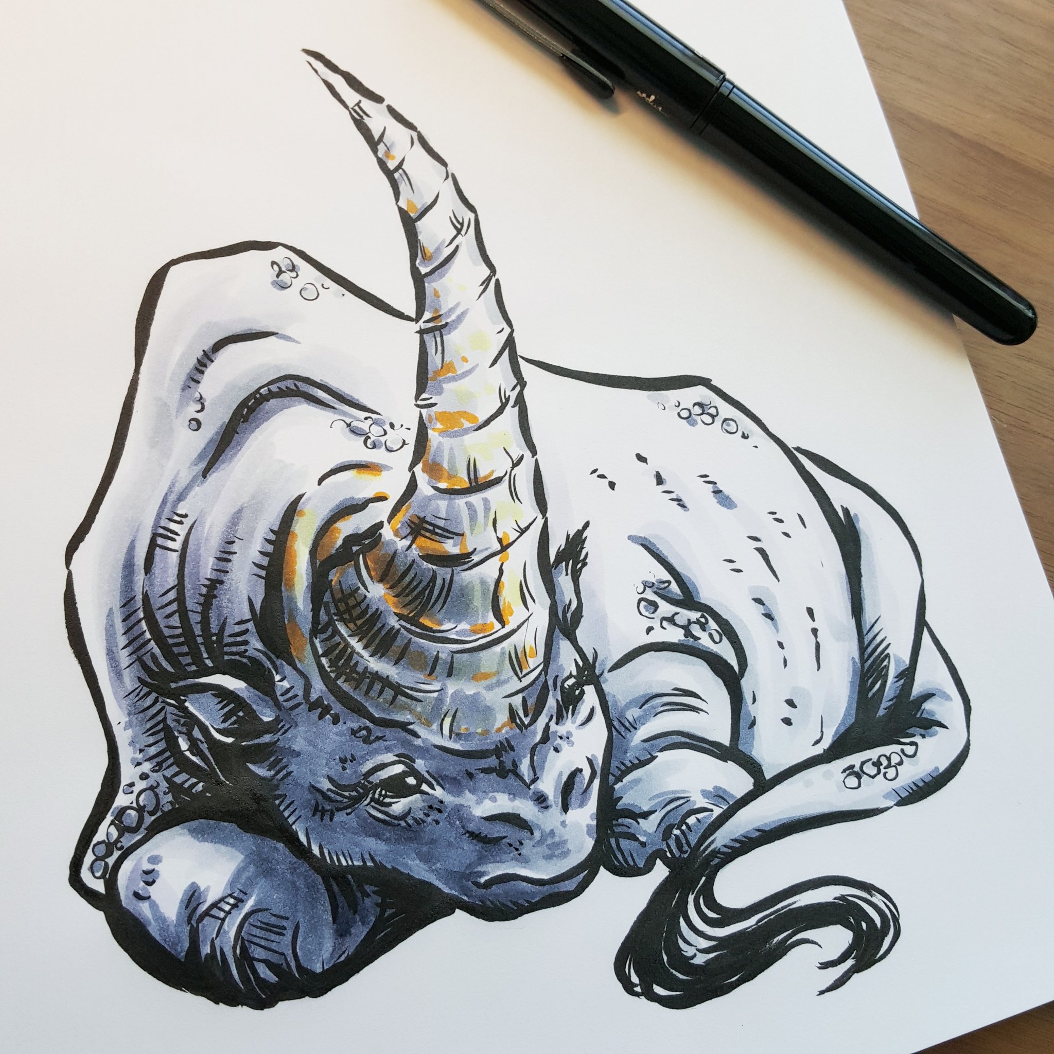 Erumpent Harry Potter