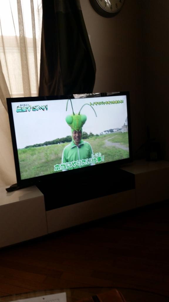 #昆虫すごいぜ まとめ (29ページ目) - Togetter [トゥギャッター]