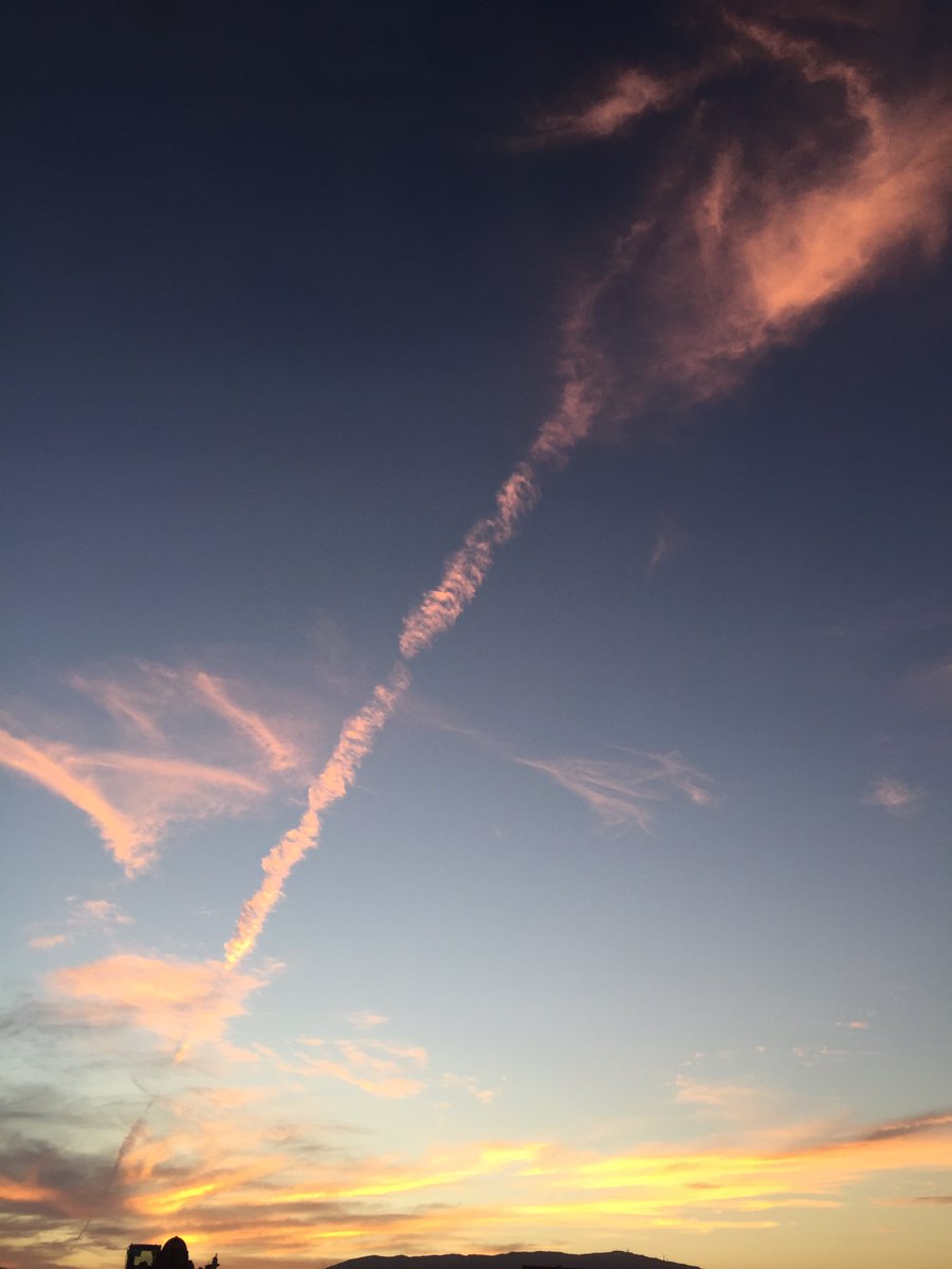 ニポポ(@drelzna) - Twilog