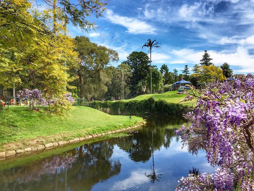 Explore the World Heritage listed Parramatta Park in Sydney's west ...