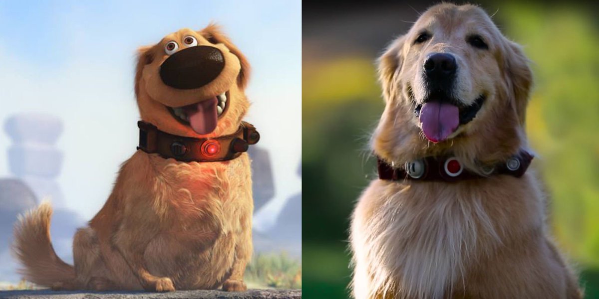 Pixar created dug from up in real life, and he's so cute you'll cry ...
