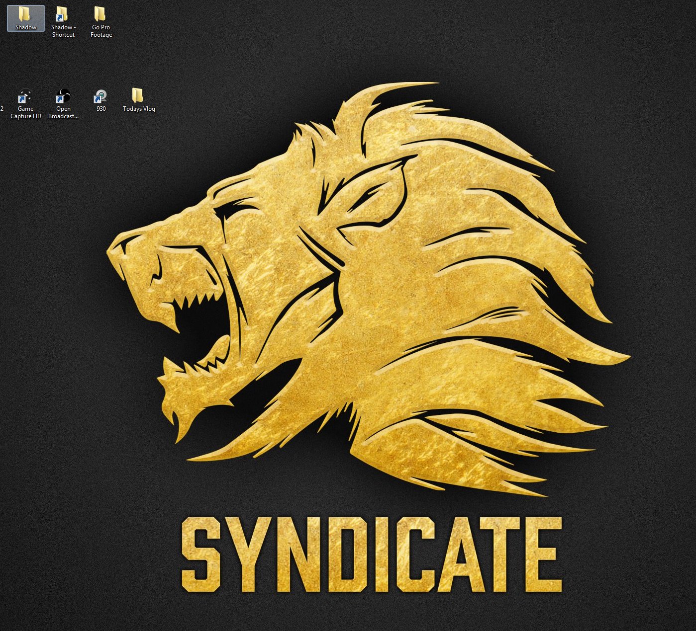 The Syndicate Project Lion Logo Syndicate Original UK