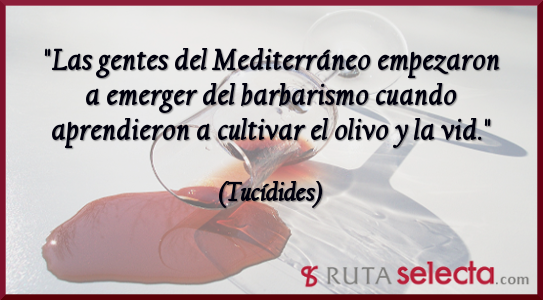Total 59 Imagen Frases Sobre El Mediterraneo Abzlocal Mx