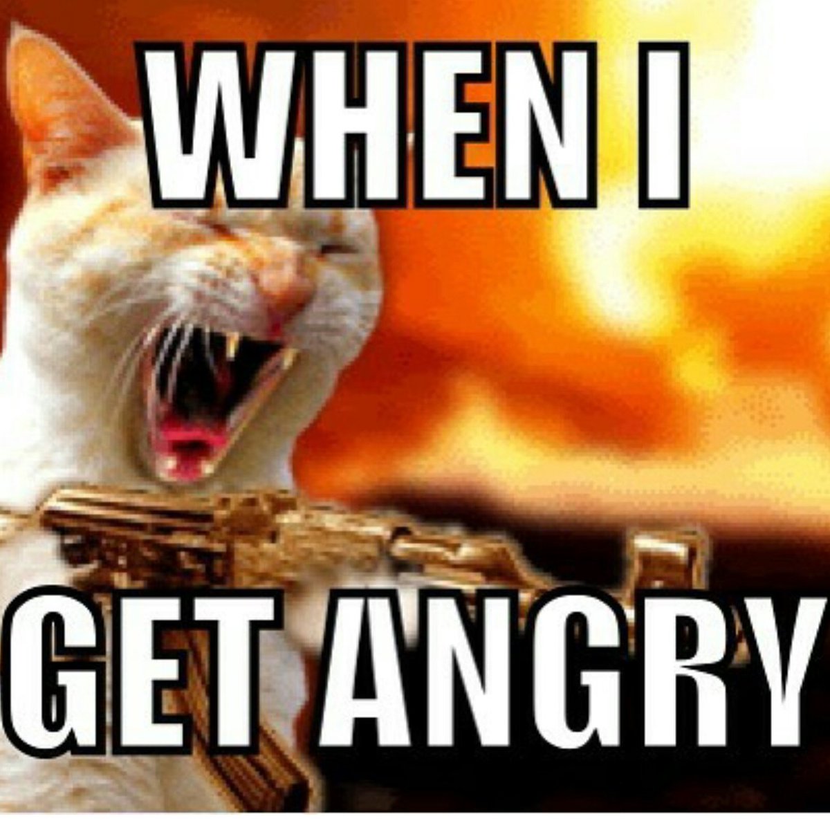 Angry Cats With Guns