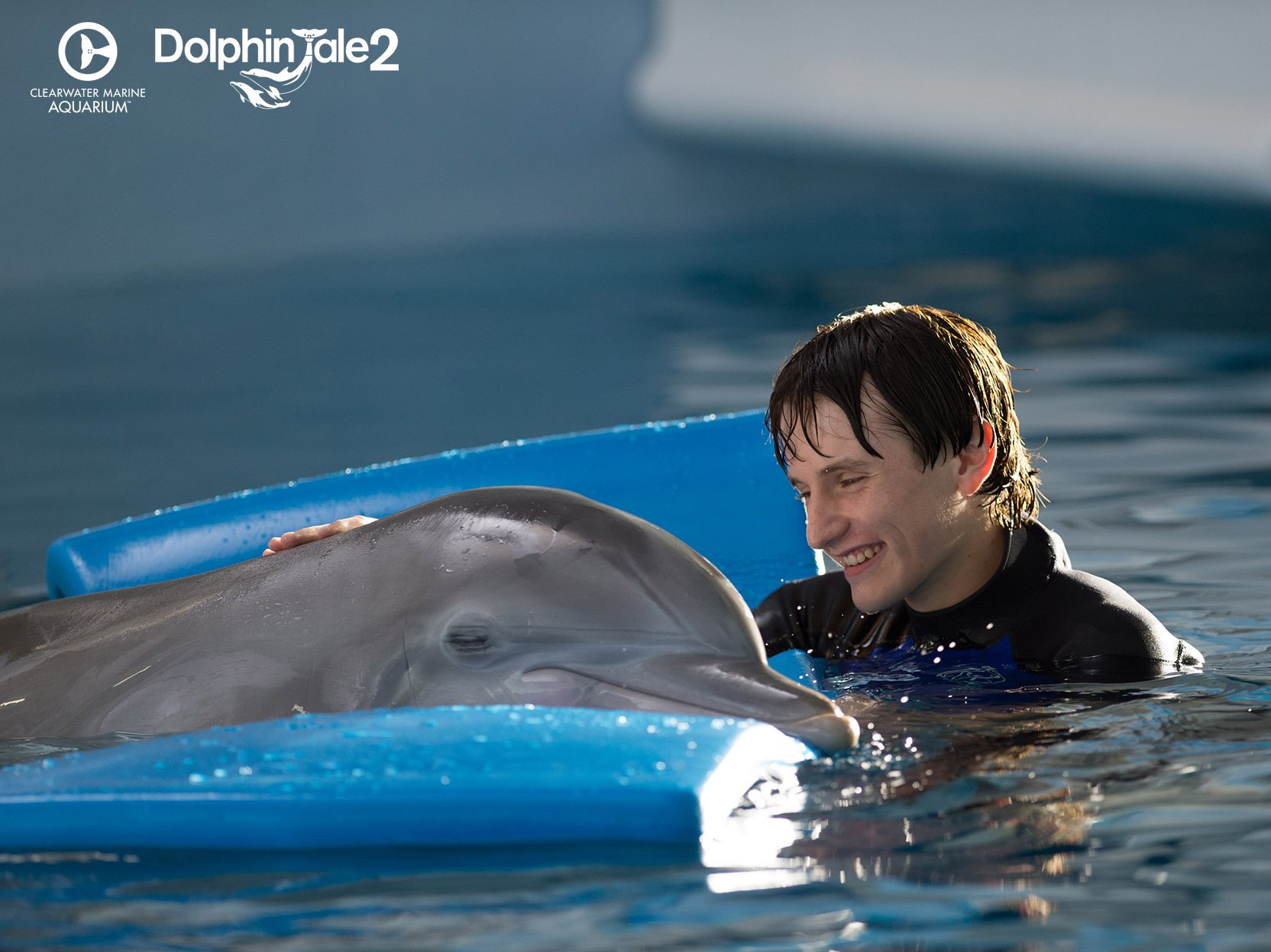 Dolphin Tale 2 Winter And Hope