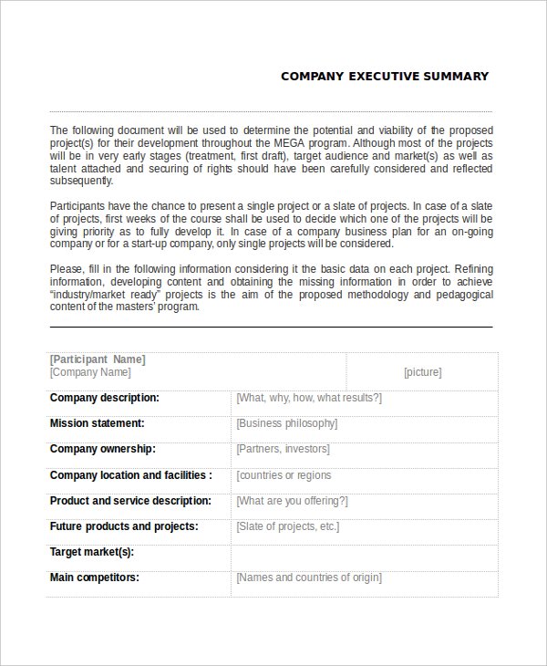 Business Executive Summary Example