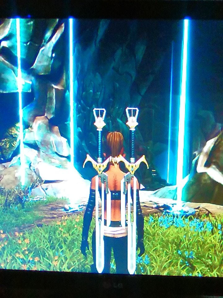 Not everyone knows this but you can now dual holster cathar honor ...