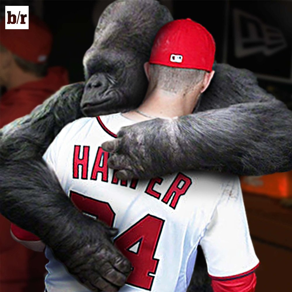 Harambe Club (@Harambe_Club) | Twitter