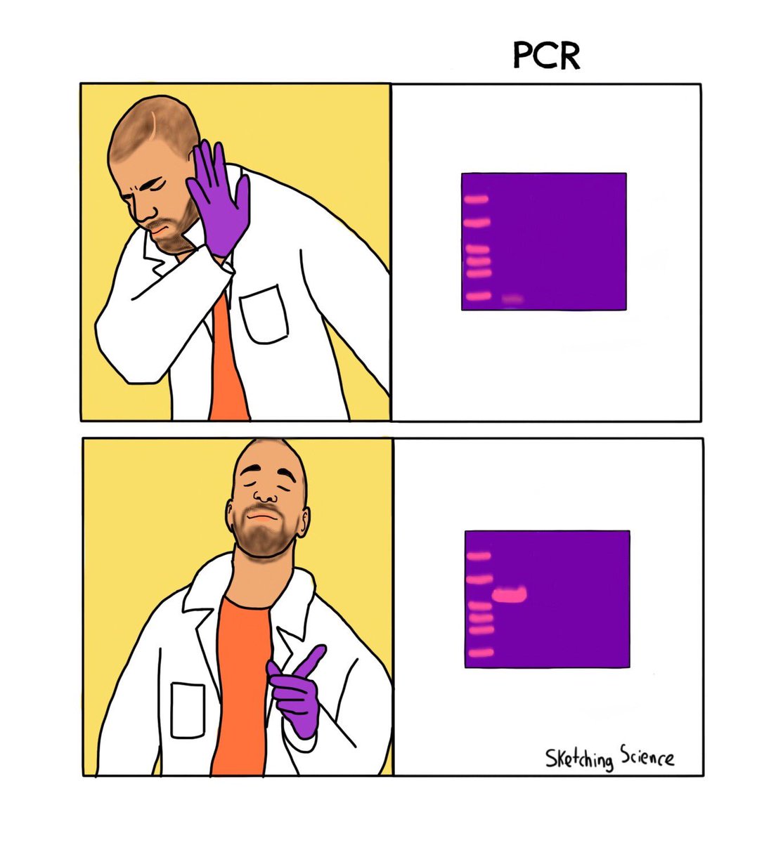 Memes De Pcr Courtesy Of Sketching Science. – @academicssay On