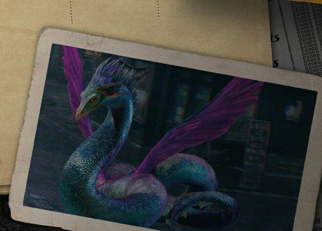 Occamy / Ocamy - Fantastic Beasts And Where To Find Them | Occamy ...