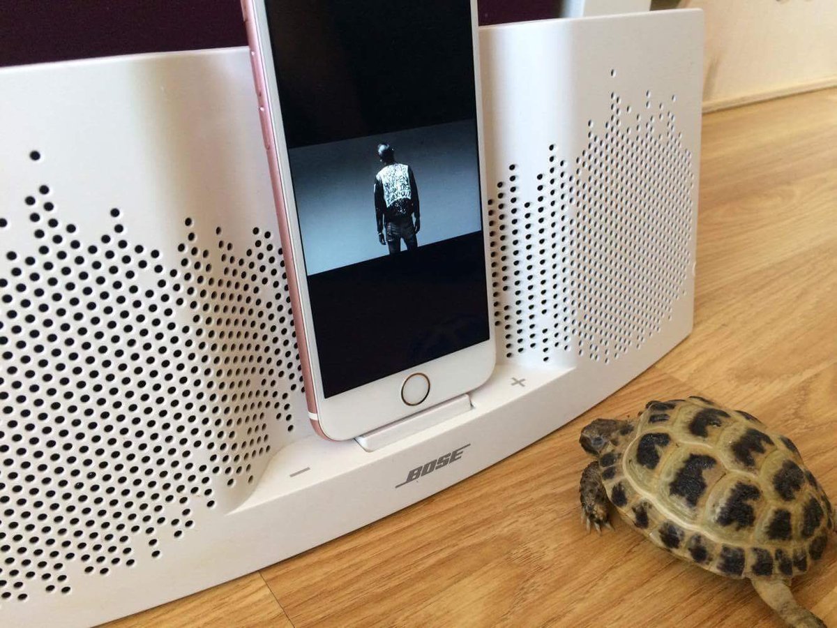 rubes (@ruby_fenty) | Twitter