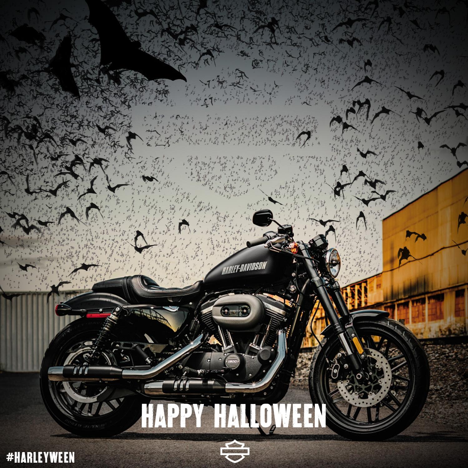 Harley Davidson Wallpaper Widescreen