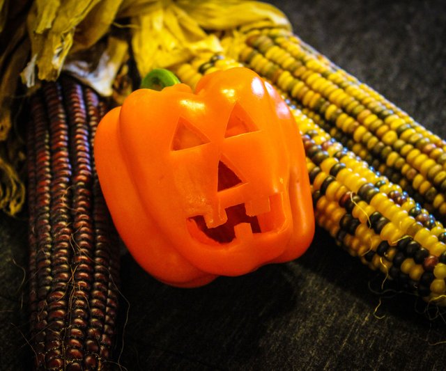 CompuSOFT (@Compu_SOFT) | Twitter