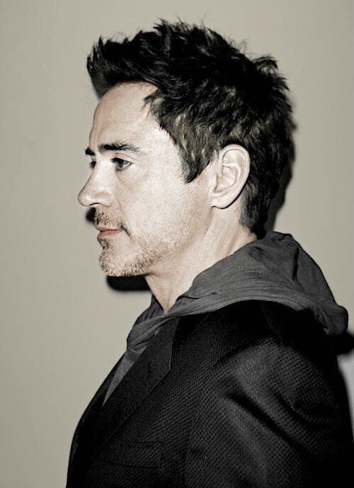 Robert Downey Jr Profile
