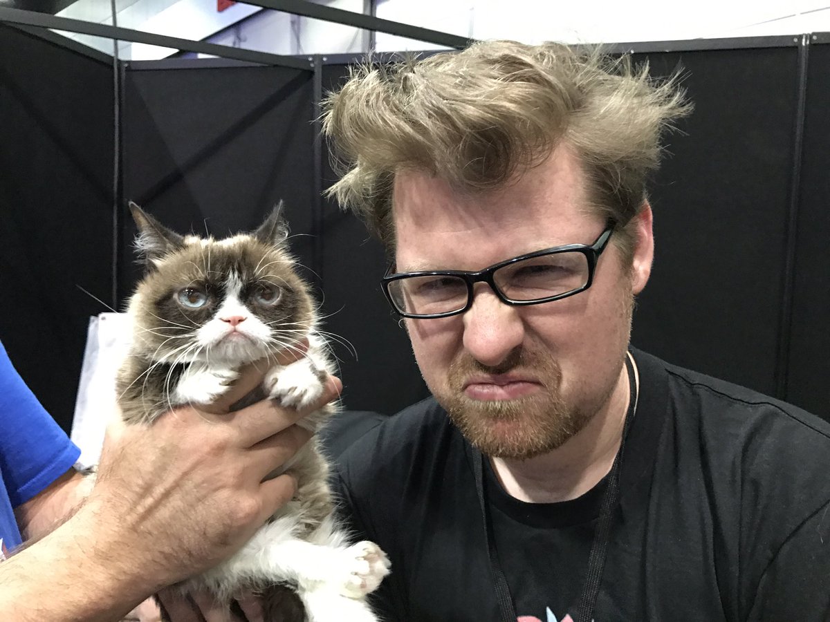 I just met grumpy cat. This is not a toy. Grumpy cat is like an alien ...