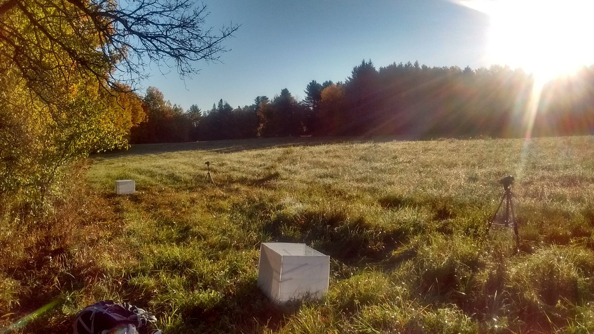 Preparing for fieldwork – Julian C. Evans