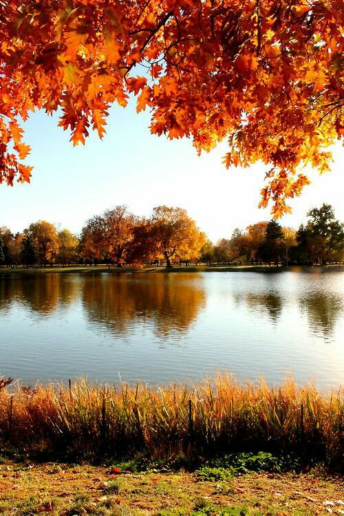 Sofie (@sofie_tyler) | Twitter