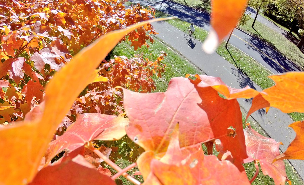 Christopher Finke (@cfinke) | Twitter