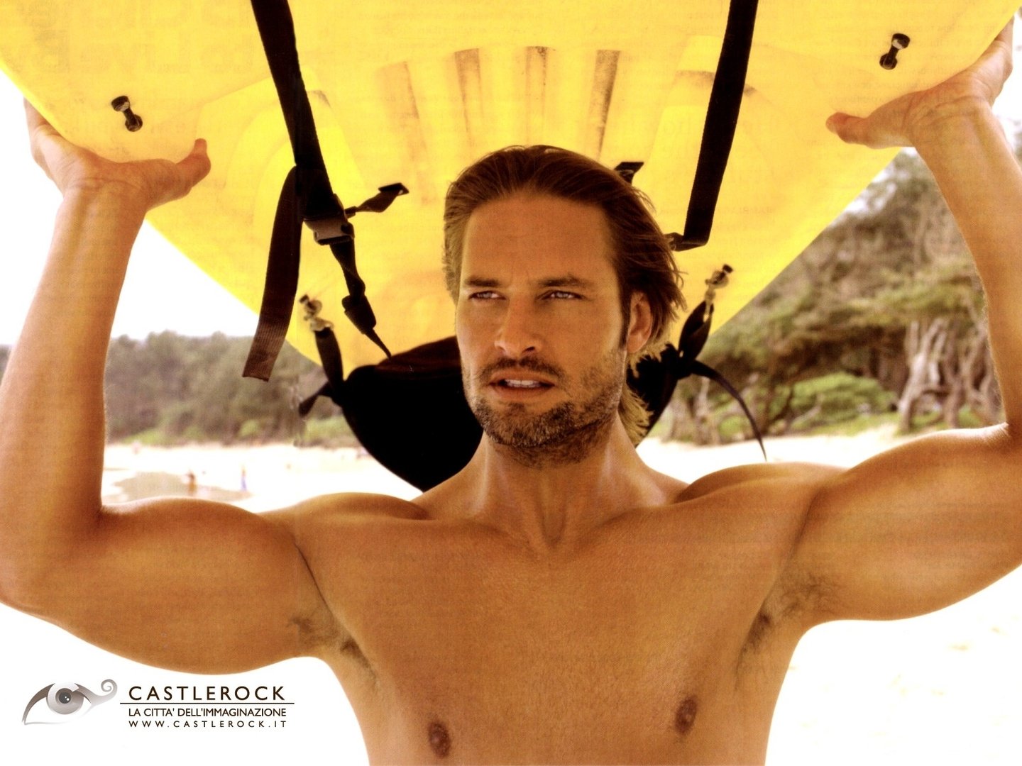 Josh Holloway Wallpaper