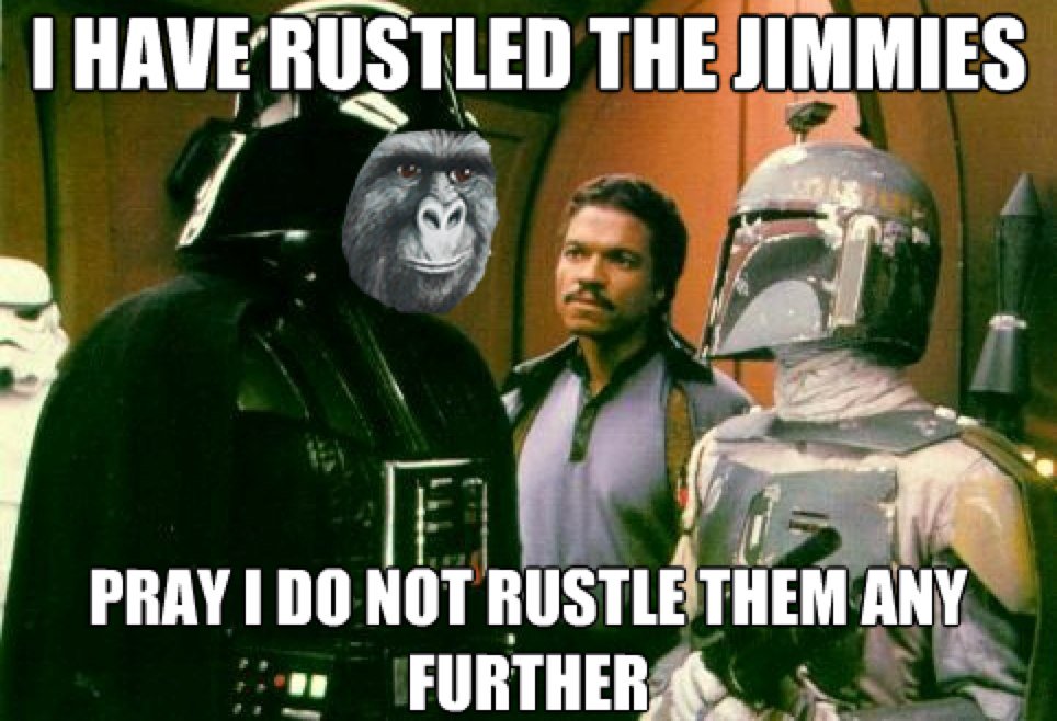 Many Bothans Died Meme