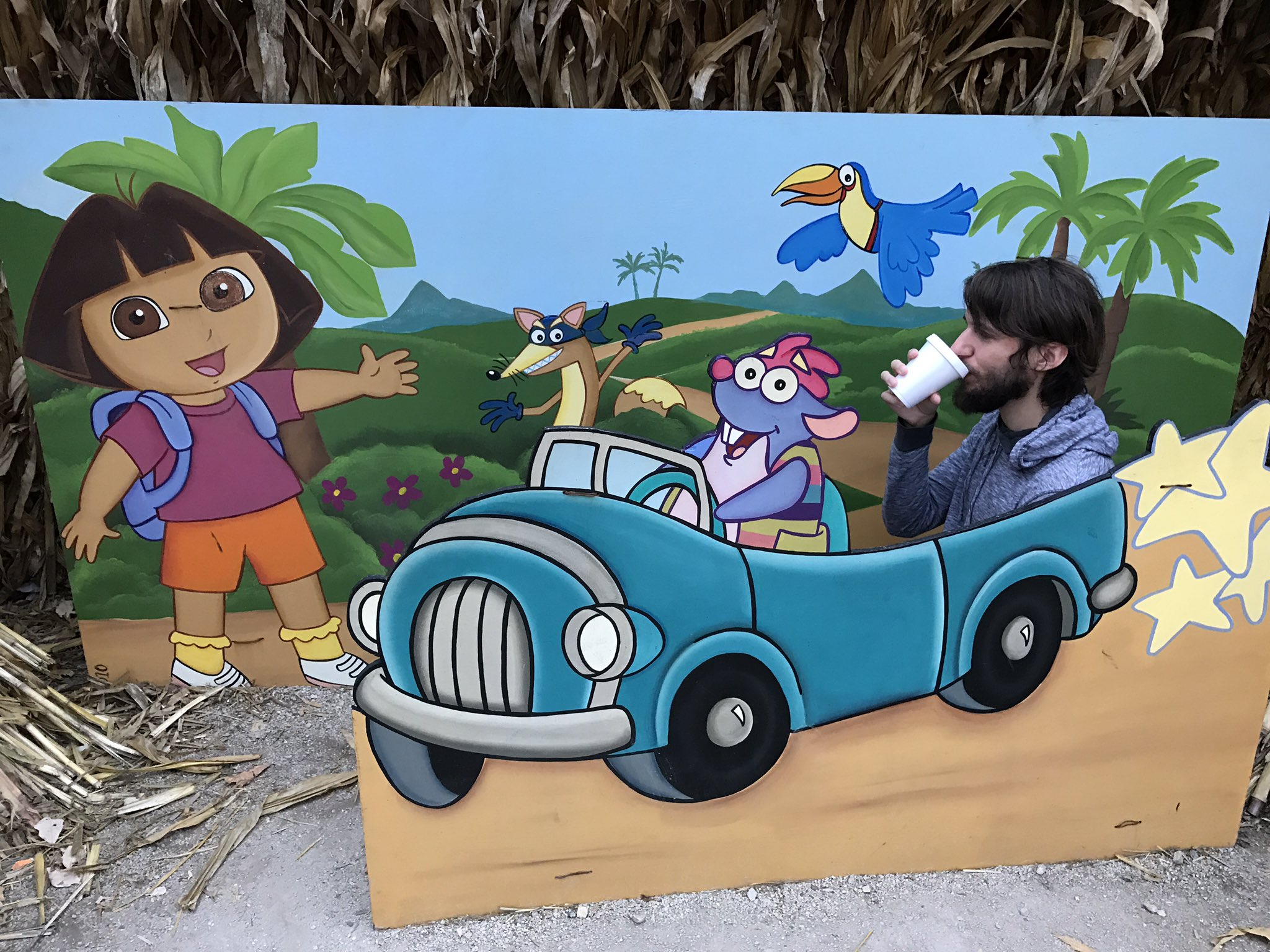 Dora The Explorer Tico Car