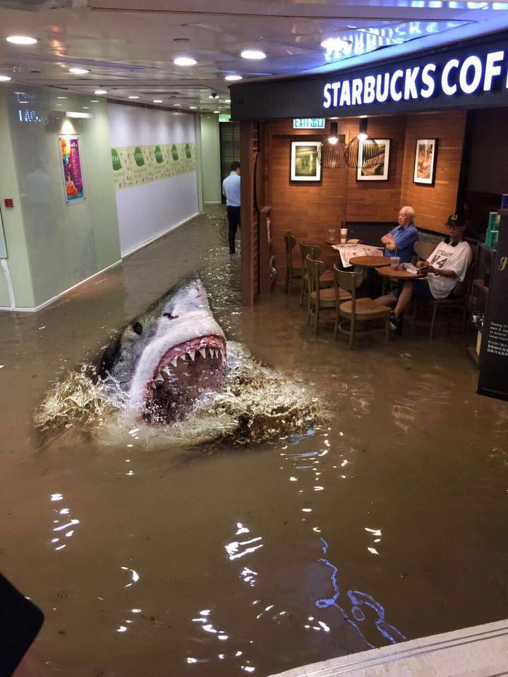 This Guy Casually Had A Cup Of Coffee During A Flood And Became A Huge ...