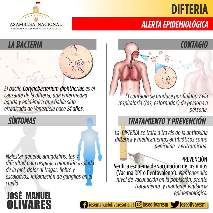 La difteria: la bacteria, el contagio, síntomas, tratamiento y ... La difteria: la bacteria, el contagio, síntomas, tratamiento y ...