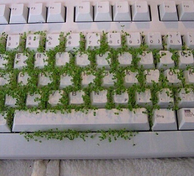 Computer Keyboard Tumblr