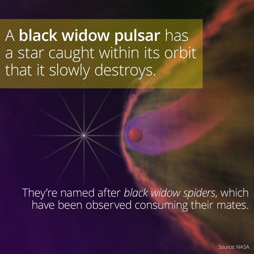 Black Widow Pulsar