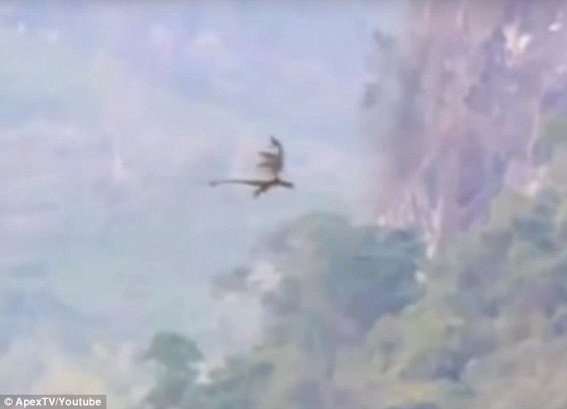 Is this proof DRAGONS exist? | Daily Mail Online | Scoopnest