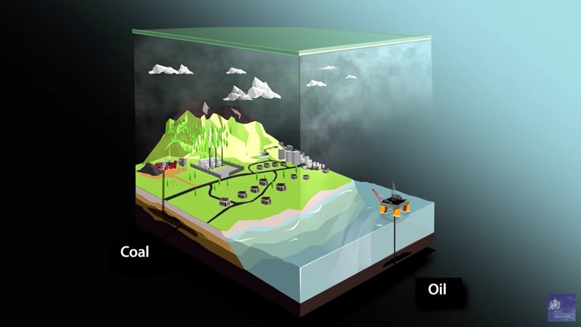 Carbon Cycle Animation