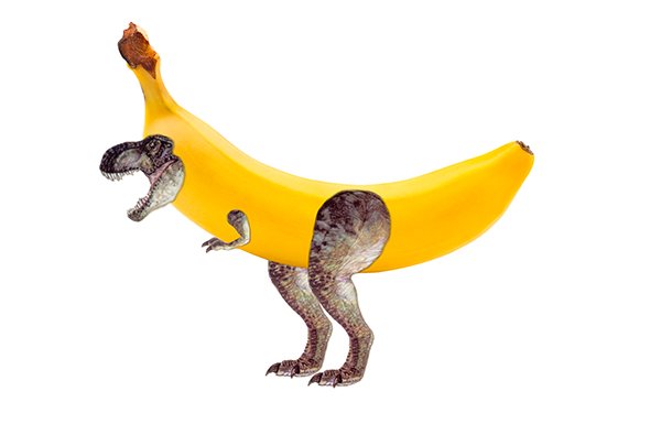 Animals Mixed With Fruit