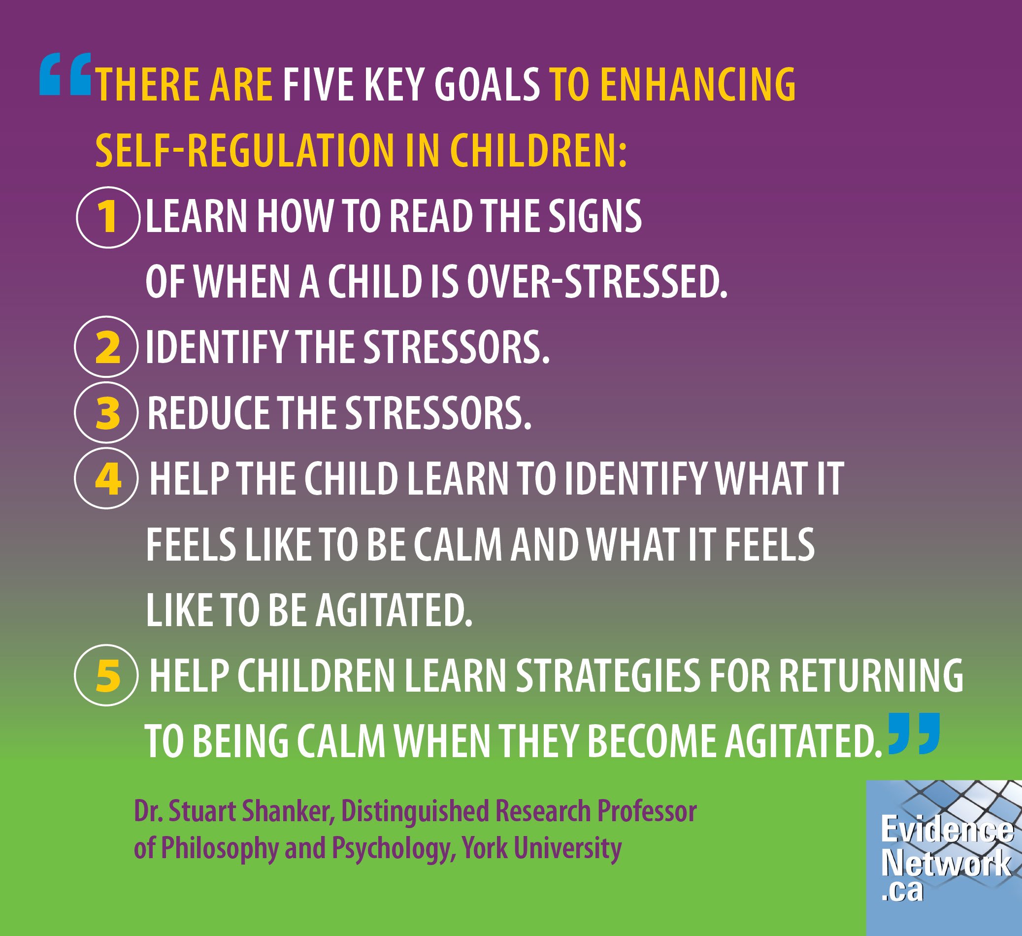 Self Regulation Goals