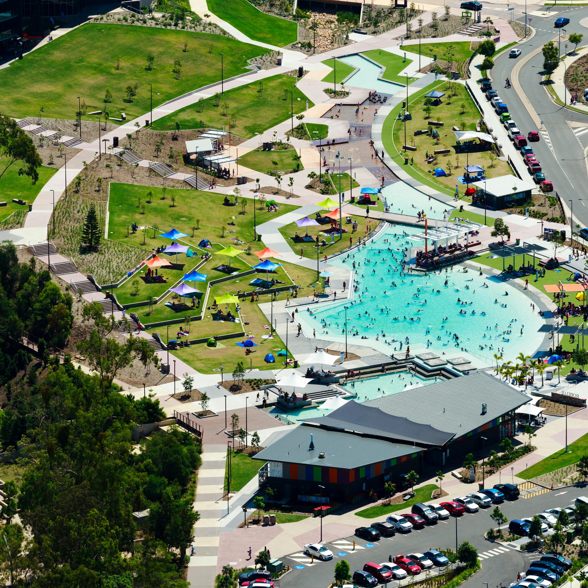 Are Dogs Allowed At Springfield Lagoon